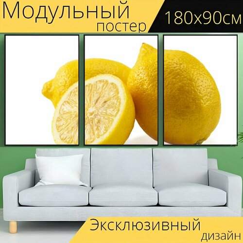 Модульный постер "Лимон, цитрусовые, фрукты" 180 x 90 см. для интерьера