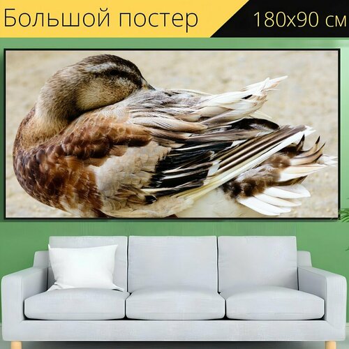 Большой постер "Птица, лебедь, утка" 180 x 90 см. для интерьера
