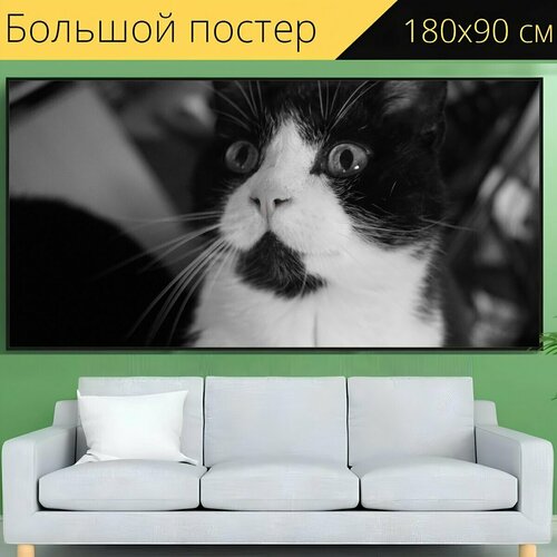 Большой постер "Кот, портрет, котенок" 180 x 90 см. для интерьера