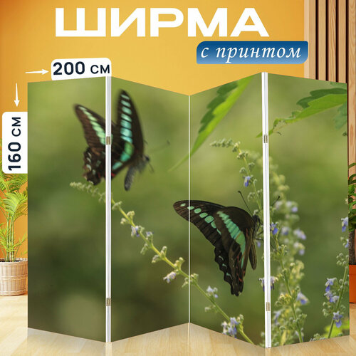 Ширма перегородка с принтом "Бабочки, природа, насекомое" на холсте - 200x160 см. для зонирования, раскладная