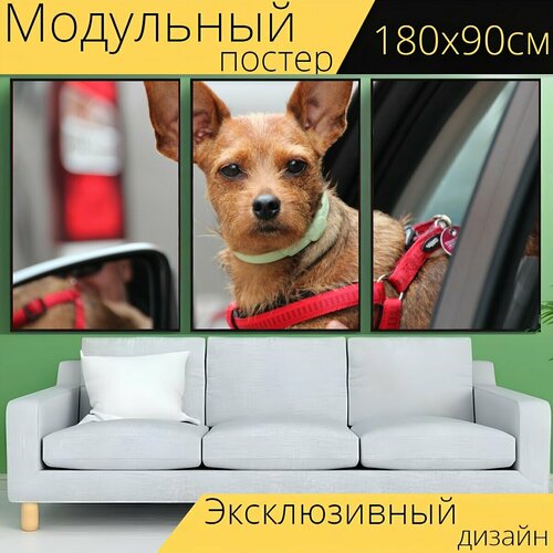 Модульный постер "Собака, маленькая собака, окно машины" 180 x 90 см. для интерьера