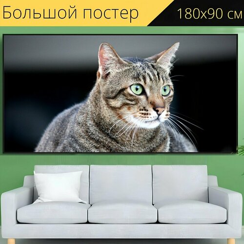 Большой постер "Кошка, жирный кот, животные" 180 x 90 см. для интерьера