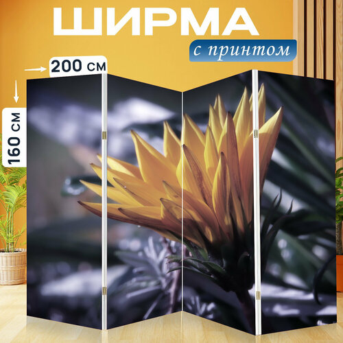 Ширма перегородка с принтом "Цветок, желтый цветок, цвести" на холсте - 200x160 см. для зонирования, раскладная