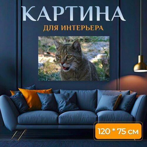 Картина на холсте "Природа, лес, кот" на подрамнике 120х75 см. для интерьера