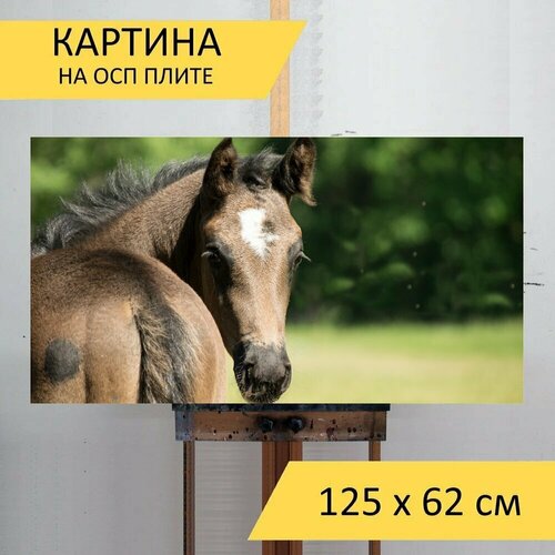 Картина на ОСП 125х62 см. "Лошадь, коричневый, жеребенок" горизонтальная, для интерьера, с креплениями