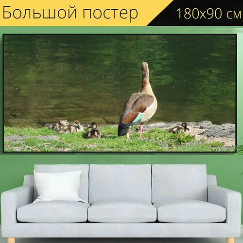 Большой постер "Утка, цыплята, озеро" 180 x 90 см. для интерьера