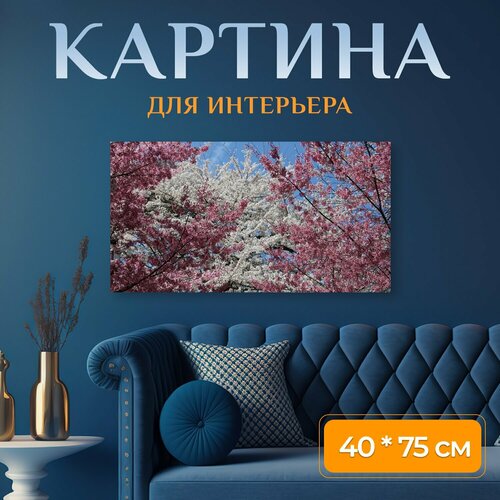 Картина на холсте "Вишни в цвету, весна, сакура" на подрамнике 75х40 см. для интерьера