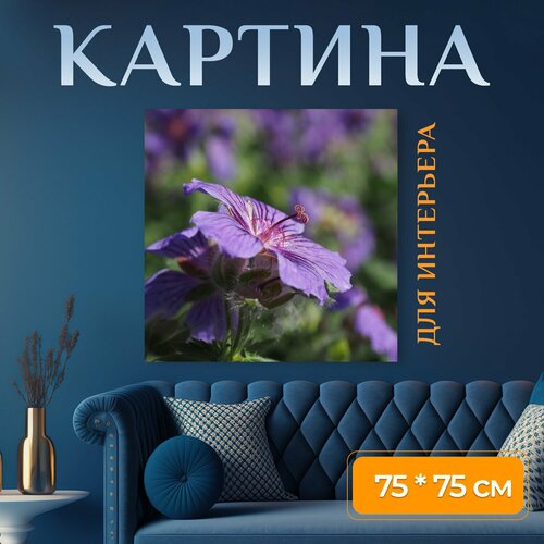 Картина на холсте "Герань, цветок, цвести" на подрамнике 75х75 см. для интерьера