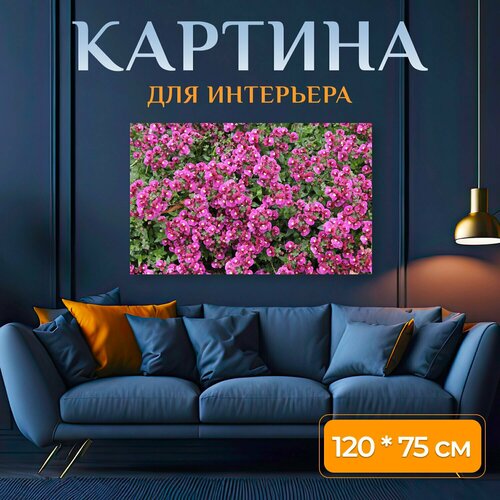 Картина на холсте "Немезия, растения, цвести" на подрамнике 120х75 см. для интерьера