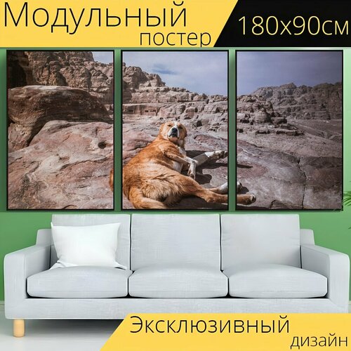 Модульный постер "Собака, пустыня, животное" 180 x 90 см. для интерьера