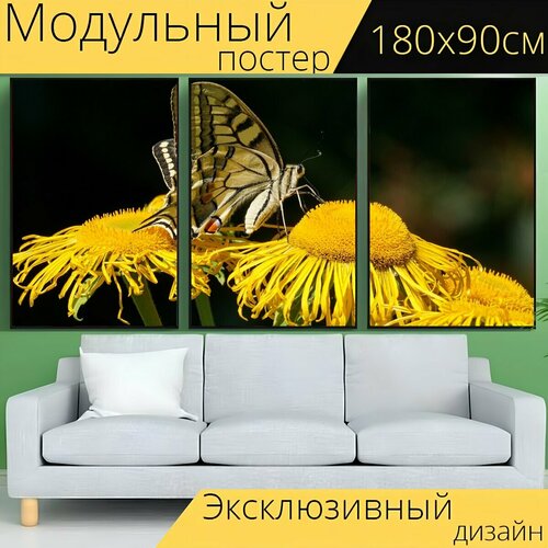 Модульный постер "Ласточкин хвост, бабочка, цветок" 180 x 90 см. для интерьера