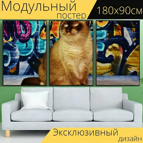 Модульный постер "Британская короткошерстная кошка, кот, коричневый" 180 x 90 см. для интерьера