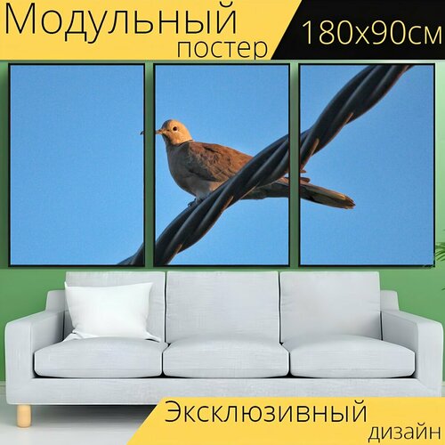 Модульный постер "Птица, пр, тортола" 180 x 90 см. для интерьера