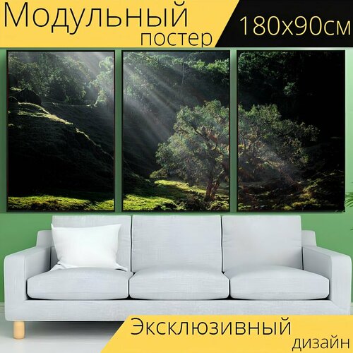 Модульный постер "Солнечный свет, дерево, зеленый" 180 x 90 см. для интерьера