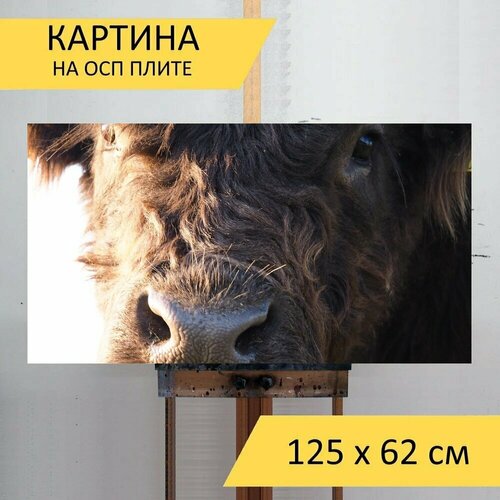 Картина на ОСП 125х62 см. "Говядина, корова, горный скот" горизонтальная, для интерьера, с креплениями