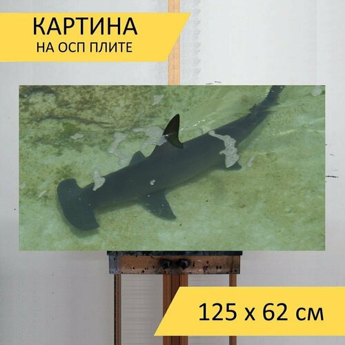 Картина на ОСП 125х62 см. "Акула молот, акула, подводный" горизонтальная, для интерьера, с креплениями