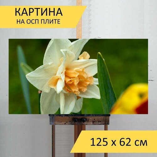 Картина на ОСП 125х62 см. "Нарцисс, цветок, весна" горизонтальная, для интерьера, с креплениями