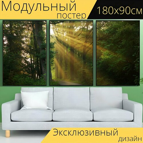 Модульный постер "Лучи солнца, солнечный свет, лес" 180 x 90 см. для интерьера