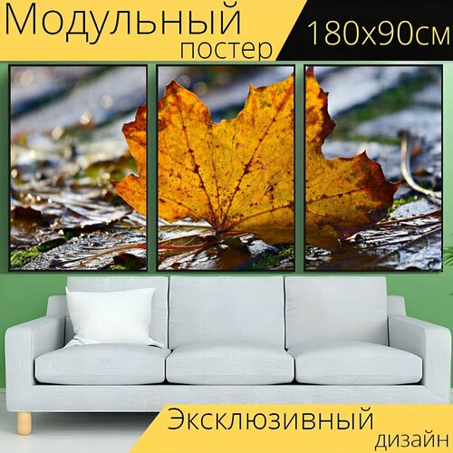 Модульный постер "Осенний лист, вен, шаблон" 180 x 90 см. для интерьера