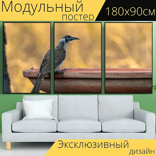 Модульный постер "Птицы, дикая природа, природа" 180 x 90 см. для интерьера