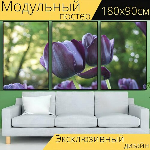 Модульный постер "Тюльпаны, цветы, синий" 180 x 90 см. для интерьера