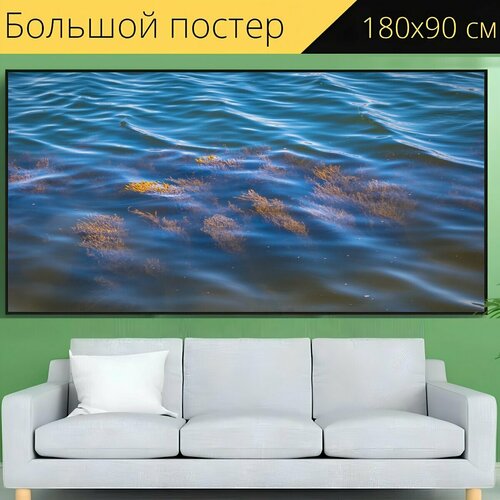 Большой постер "Морские водоросли, море, завод" 180 x 90 см. для интерьера