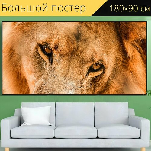 Большой постер "Лев, кошка, африка" 180 x 90 см. для интерьера