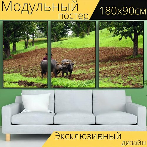 Модульный постер "Пахать, буйвол, обработка почвы" 180 x 90 см. для интерьера