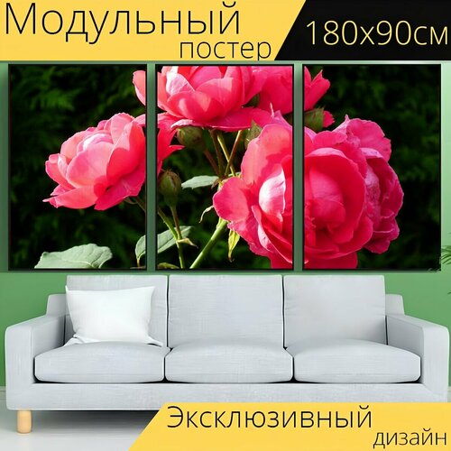 Модульный постер "Розы, цветы, сад" 180 x 90 см. для интерьера