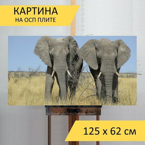 Картина на ОСП 125х62 см. "Африке, слон, намибия" горизонтальная, для интерьера, с креплениями