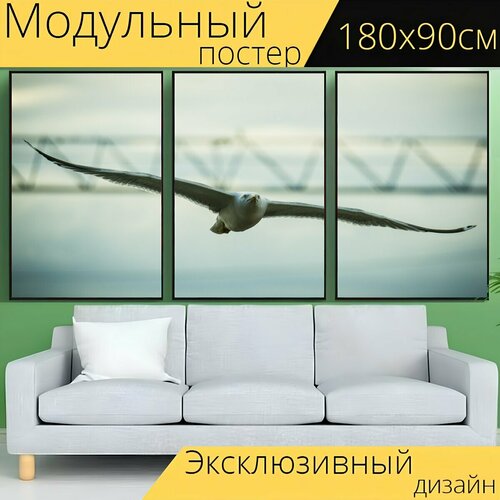 Модульный постер "Чайка, птица, небо" 180 x 90 см. для интерьера