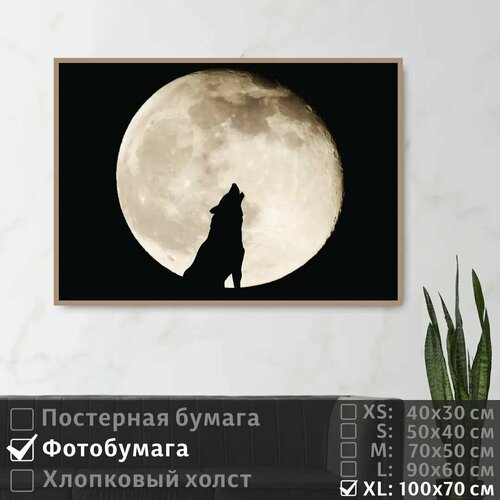 Постер на фотобумаге Дикий Волк И Полная Луна 100х70 см ПолиЦентр