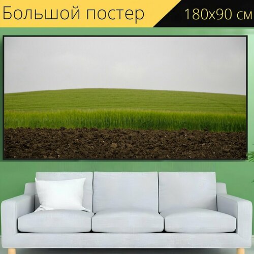 Большой постер "Зеленое поле, небо и поля, зеленая пшеница" 180 x 90 см. для интерьера