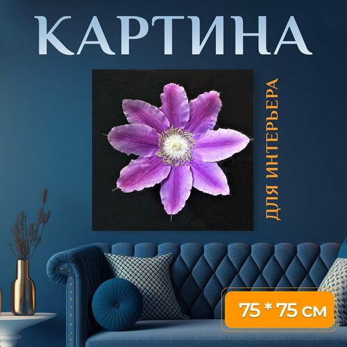 Картина на холсте "Цвести, клематис, цветок" на подрамнике 75х75 см. для интерьера