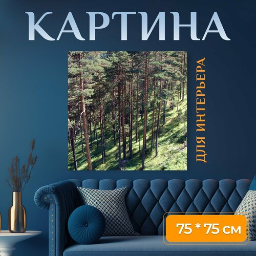 Картина на холсте "Златибор, сербия, гора" на подрамнике 75х75 см. для интерьера