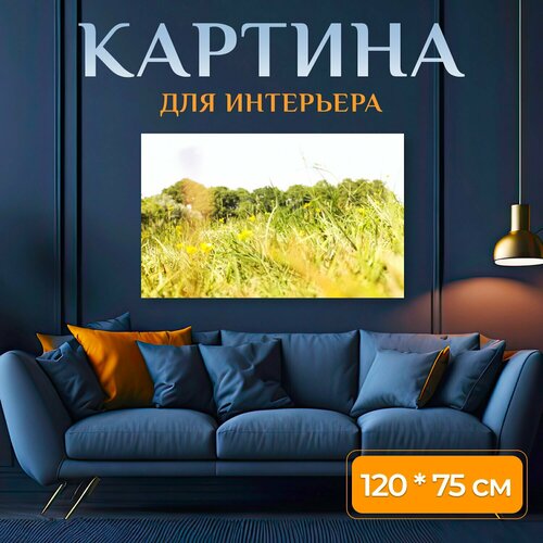 Картина на холсте "Трава, поле, луг" на подрамнике 120х75 см. для интерьера