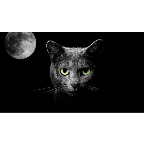 Картина на холсте 60x110 LinxOne "Кошка луна черное" интерьерная для дома / на стену / на кухню / с подрамником