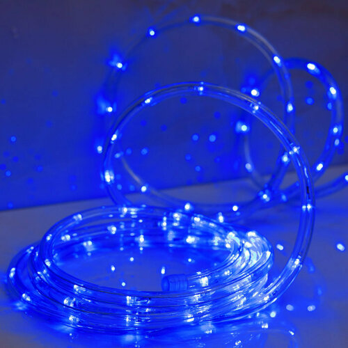 Световой шнур Luazon Lighting 10 мм, IP65, 5 м, 24 LED/м, 220 В, 8 режимов, свечение синее (комплект из 2 шт)