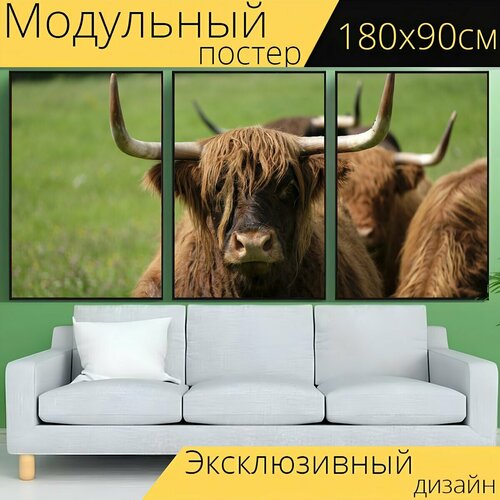 Модульный постер "Говядина, корова, животное" 180 x 90 см. для интерьера