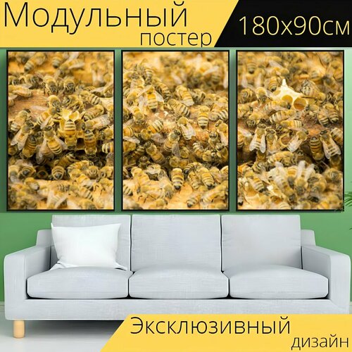 Модульный постер "Пчела, пчелиный улей, медовый" 180 x 90 см. для интерьера