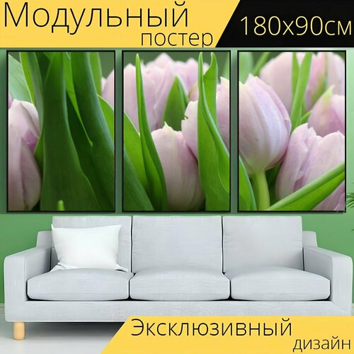 Модульный постер "Тюльпаны, тюльпан, розовый" 180 x 90 см. для интерьера