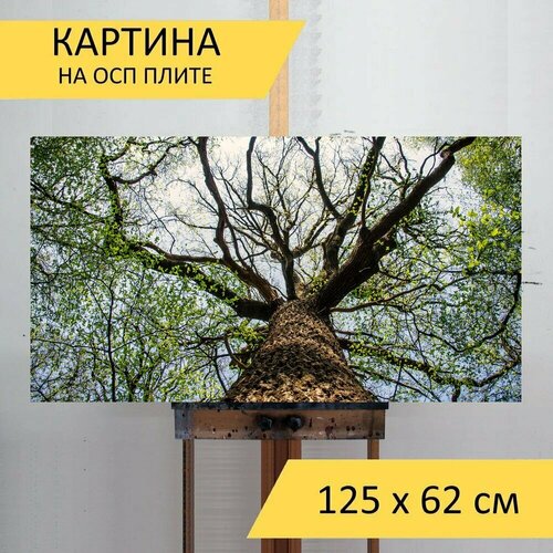 Картина на ОСП 125х62 см. "Дерево, природа, древесина" горизонтальная, для интерьера, с креплениями