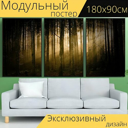 Модульный постер "Лес, солнечный свет, деревья" 180 x 90 см. для интерьера