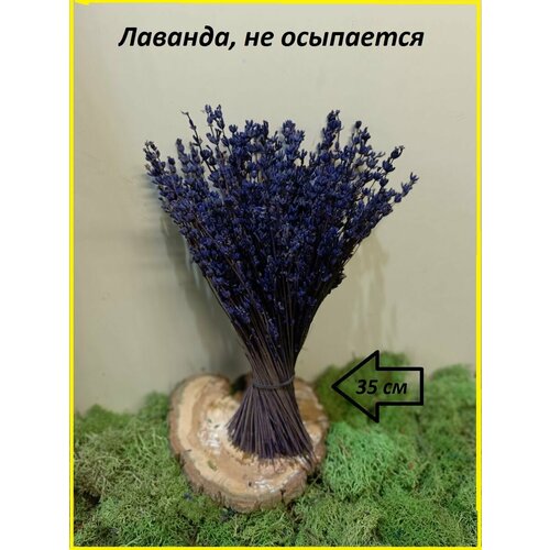 Рославанда/ букет лаванды для творчества