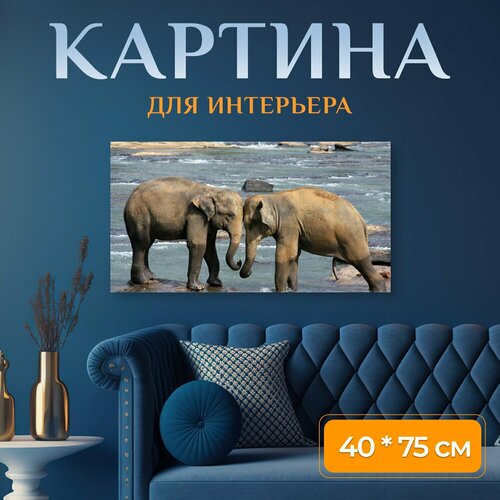 Картина на холсте "Слоны, животные, вода" на подрамнике 75х40 см. для интерьера