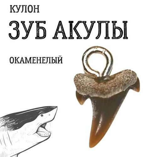 Подвеска Подвеска Зуб Акулы, Мужской кулон "Окаменелый Мегалодон"