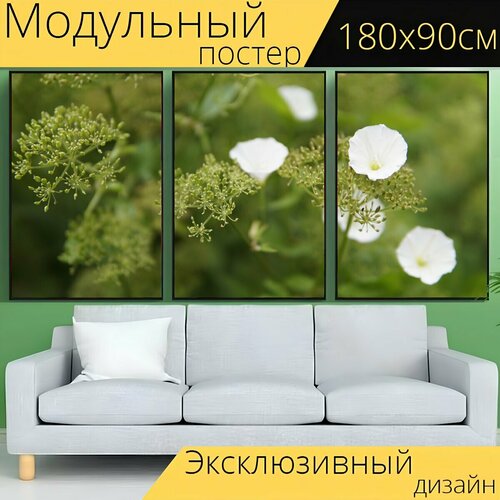 Модульный постер "Цветок, полевые цветы, белый" 180 x 90 см. для интерьера