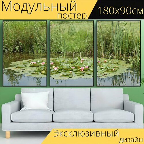 Модульный постер "Вода, лили, пруд" 180 x 90 см. для интерьера