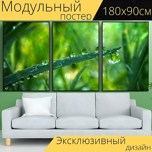 Модульный постер "Трава, капля воды, луг" 180 x 90 см. для интерьера