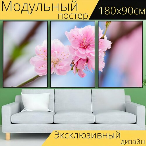 Модульный постер "Персик, персиковый цветок, цветок" 180 x 90 см. для интерьера